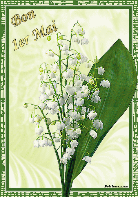 jolies images ou gifs - Page 4